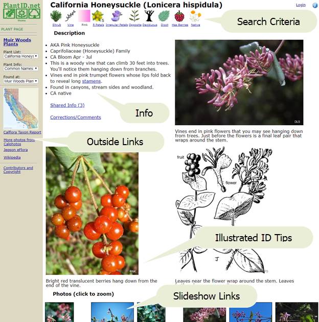 The top icons summarize facts about this plant. Most of them are ...