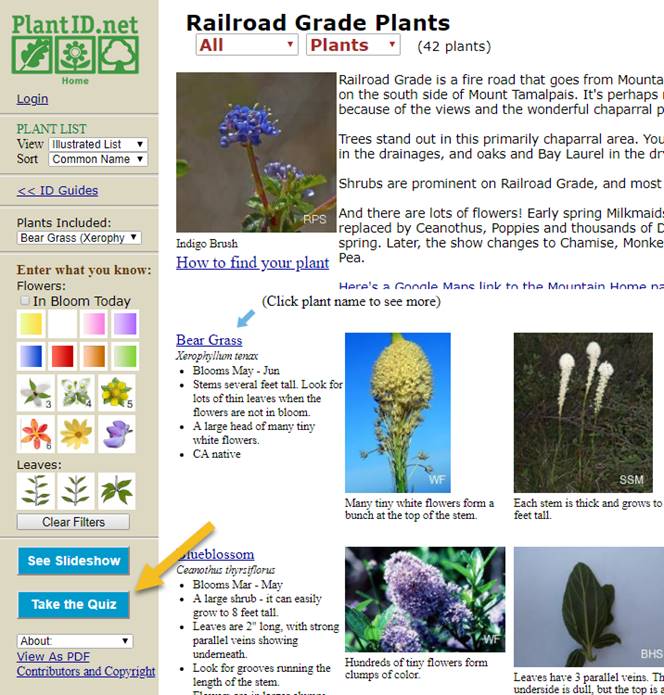 Can you identify it?