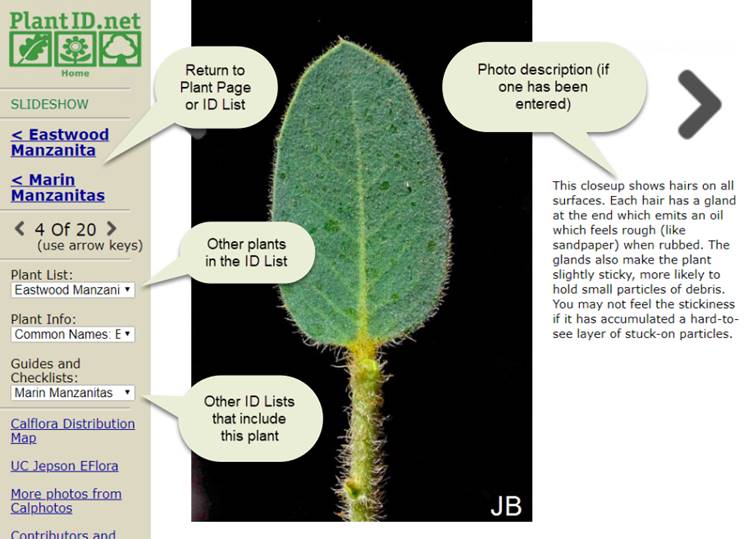 Scroll through slides by clicking arrows (or usingkeyboard arrow keys ...