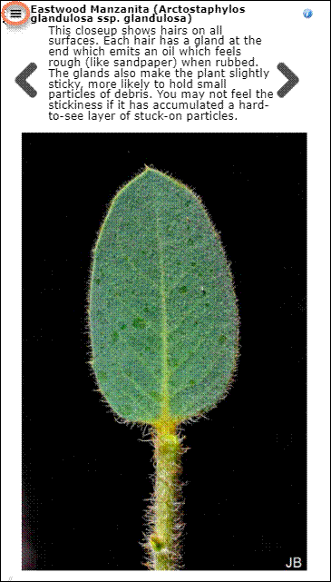 icon to seethe sidebar again.